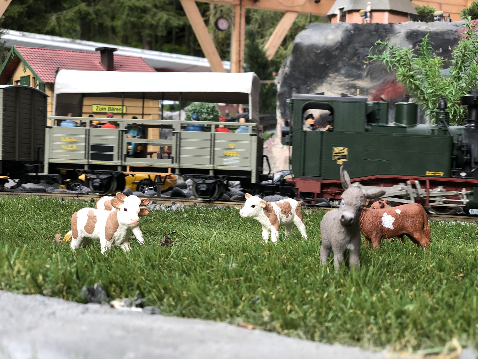 Gartenbahn und Modellseilbahn im Erzgebirge - Fichtenhäusel am Pöhlagrund